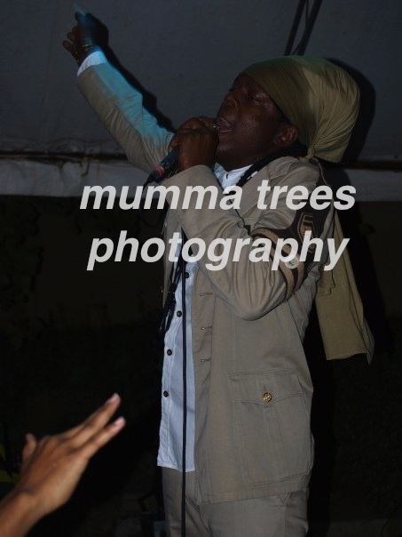 mumma trees photography